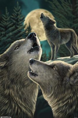 Howling Wolves Poster - Spencer's