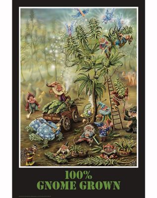 100% Gnome Grown Poster - Spencer's