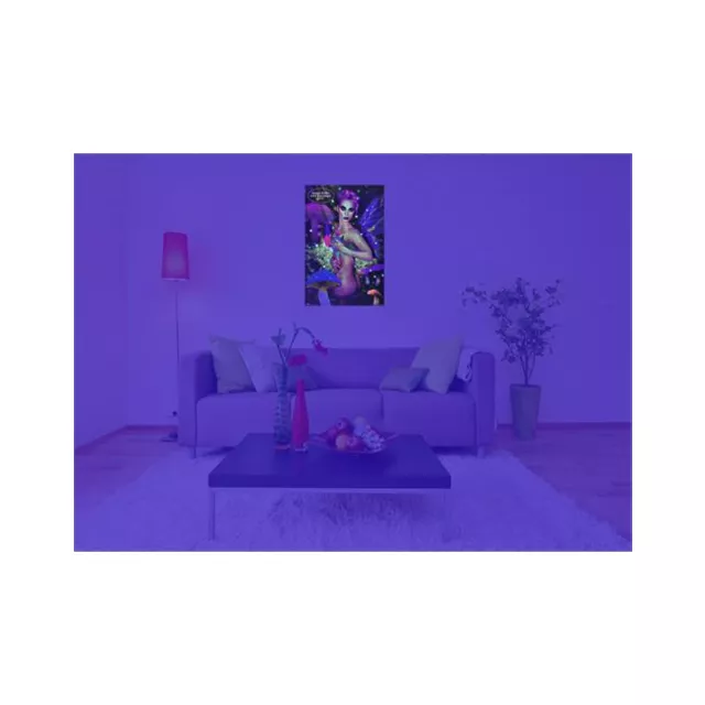 Fairy Woman Black Light Poster - Spencer's