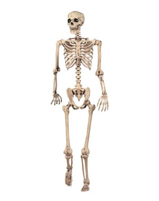 5 ft Pose 'N' Stay Skeleton - Decorations - Spencer's